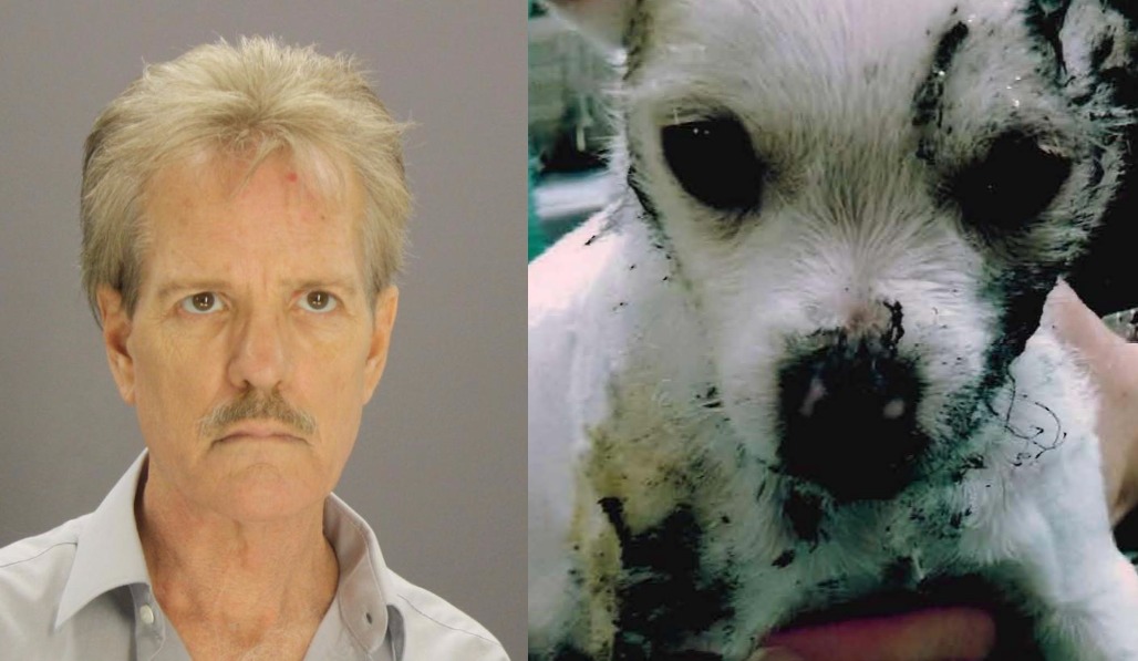 Sunil Sundaran's Instagram, Twitter & Facebook on IDCrawl