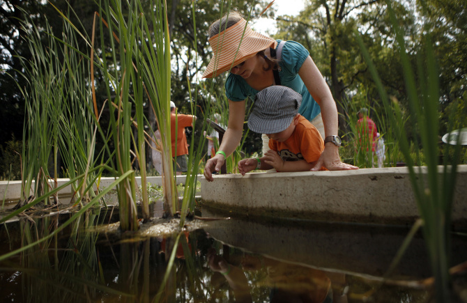 Photos: Dallas Arboretum unveils Rory Meyers Children's Adventure ...